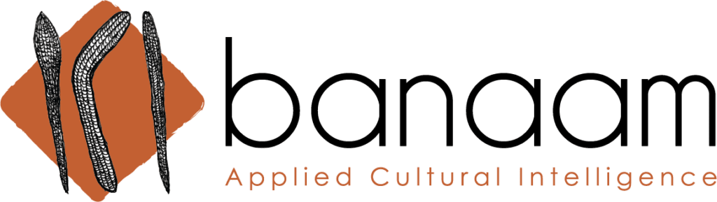 Leadership Development: Indigenous-Led, Heart-Centered Approaches ...