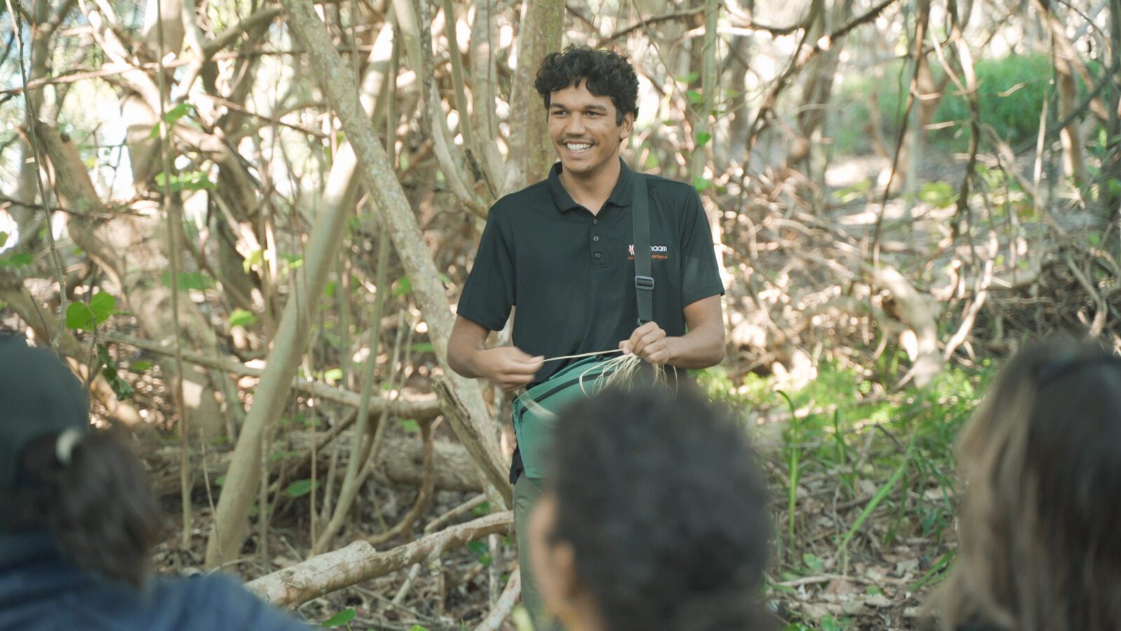 Diversity and Inclusion: Centring Indigenous Cultural Strengths ...